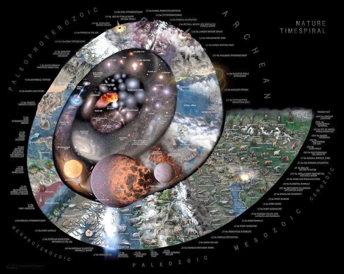 Evolutionary Creationism – Part 1 - FFWPU Mission Support